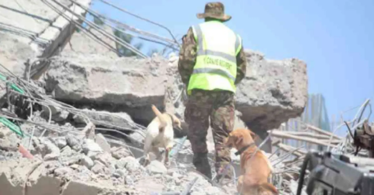 Anguish as Two Guards Remain Missing After South C Collapse ...